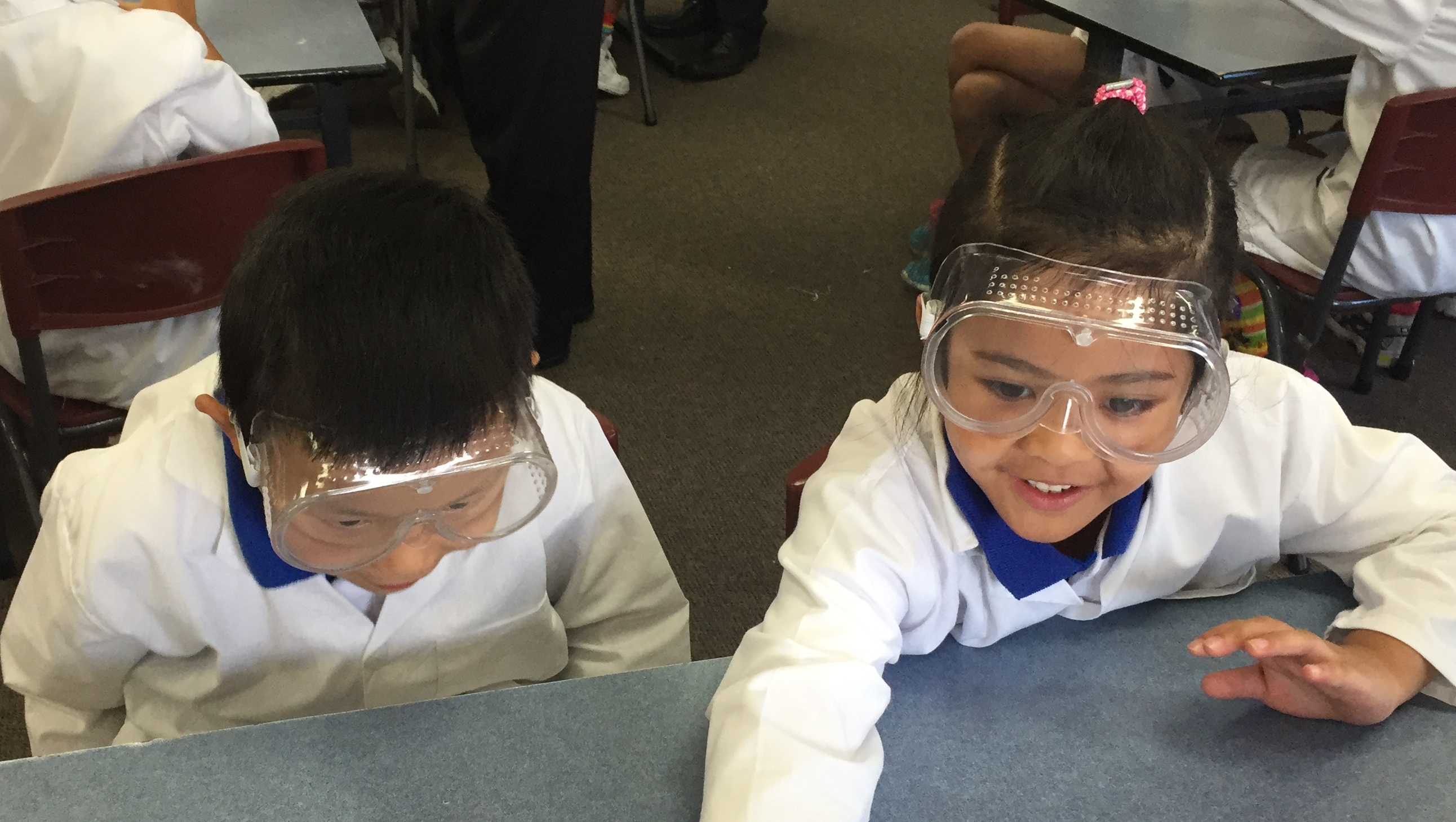The WHY… – Organic Learning