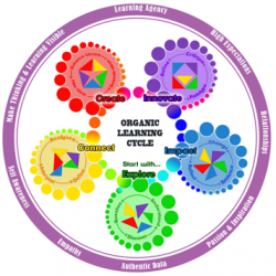 What Does Organic Learning Look Like in the Classroom From a Student’s ...