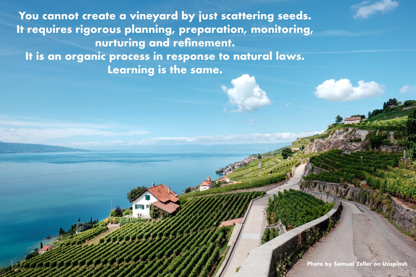 Organic Learning – A Self-Determined Learning Journey