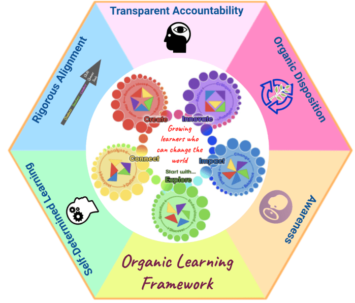 Organic Learning – A Self-Determined Learning Journey